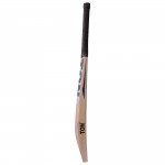SS Ton Elite English Willow Cricket Bat - The Cricket Kingdom