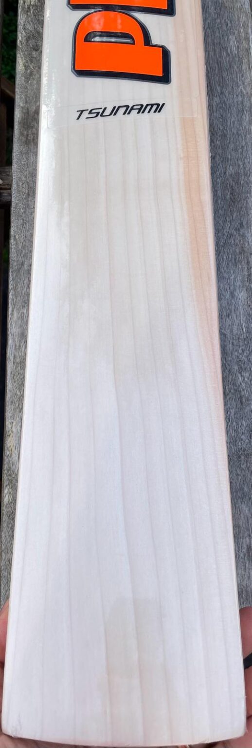 Protos Tsunami English willow Cricket Bat - The Cricket Kingdom
