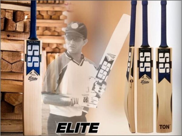 Top Ss Ton Cricket Bats for Every Player | the Cricket Kingdom