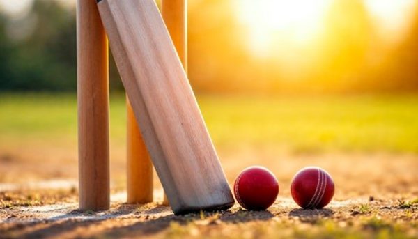 Top 10 Cricket Drills to Improve Your Game | Cricket Kingdom